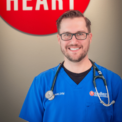 Veterinarians In Denver, CO | Goodheart Animal Center